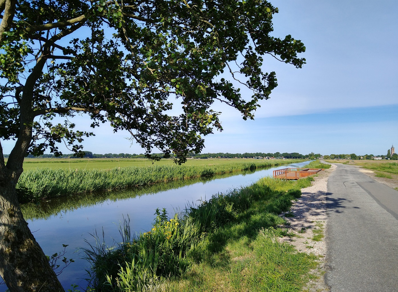 Escape to nature - UITagenda Utrecht Cultural Calendar